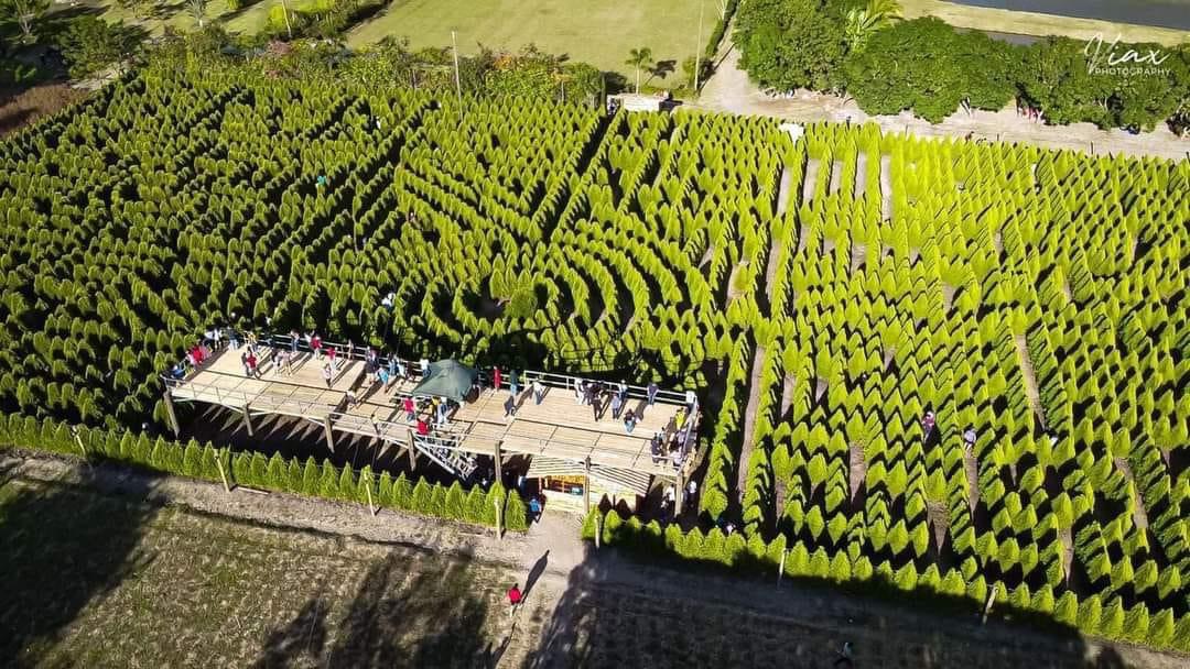 Laberinto de Cipreses una aventura nueva para disfrutar Semana Santa